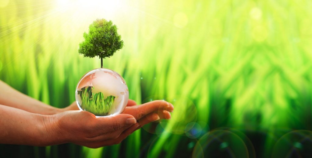 Importance of Environment to Humans | 5 Global Laws to Protect ...