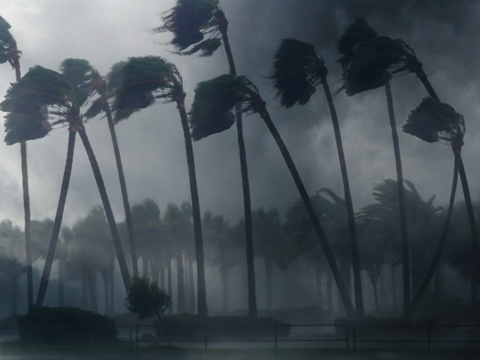 Public Storm Warning Signals - Writtygritty