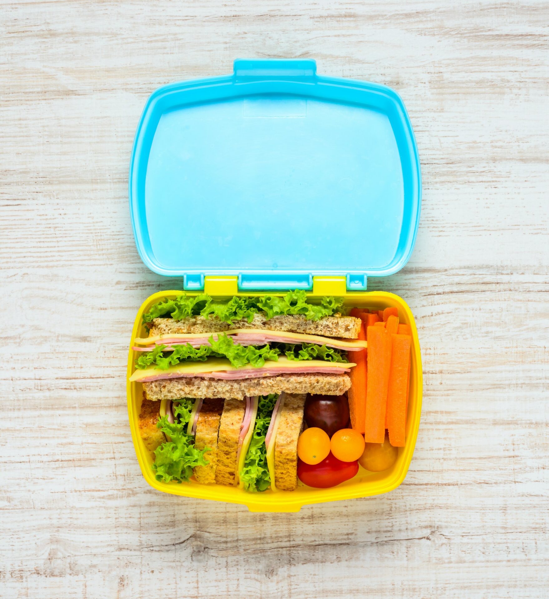 17 Attractive and Affordable Lunch Box Brands
