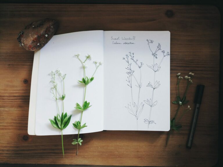 7 Flower Drawing Essentials: A Step-by-Step Easy Guide